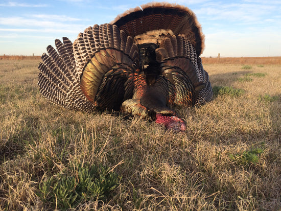 Swinging Snoods Turkey Calls – Swinging Snoods Turkey Calls, LLC